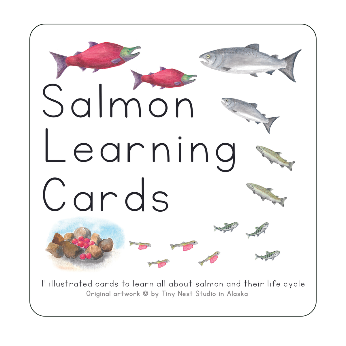 Salmon Life Cycle Learning Cards – Tiny Nest Studio