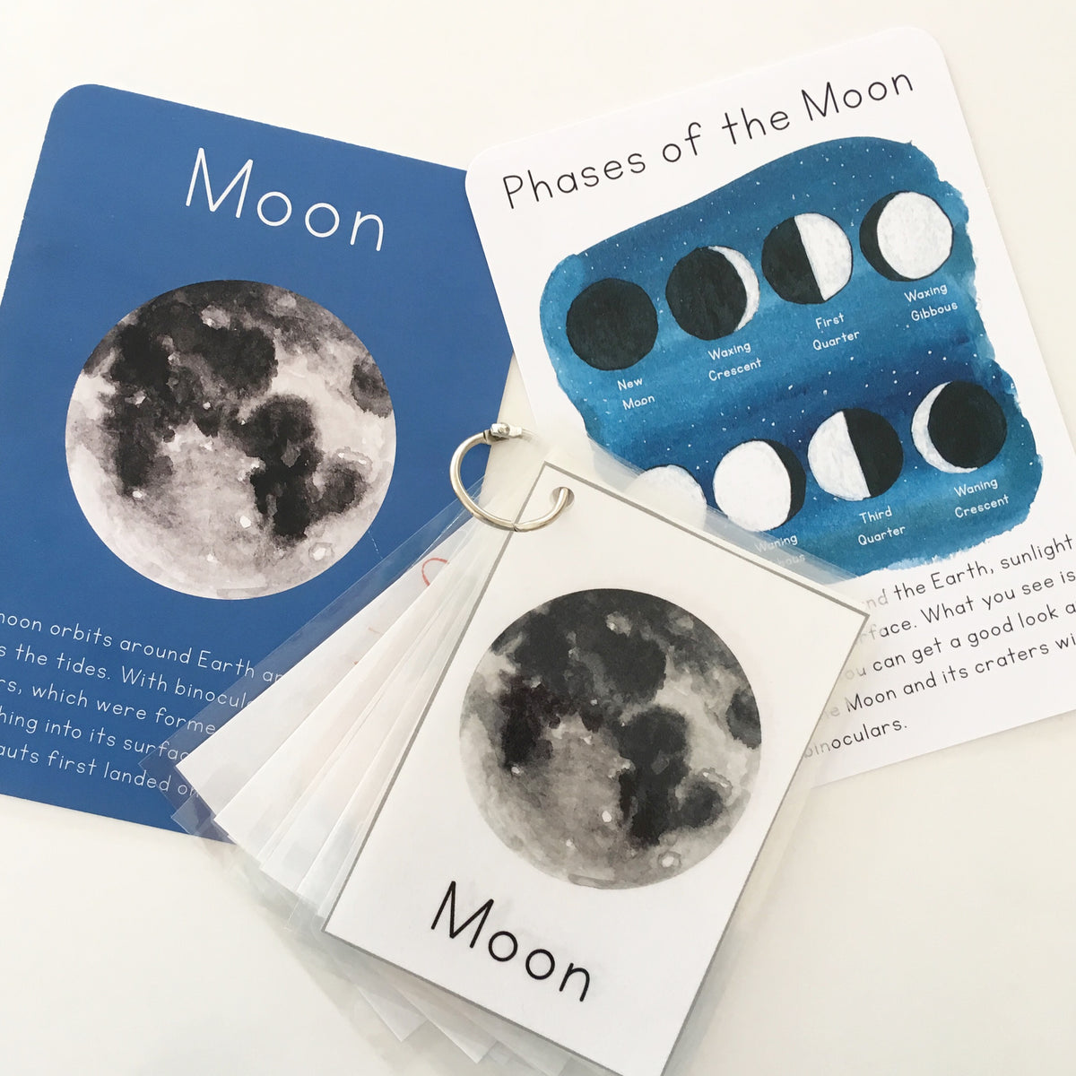 Astronomy Learning Digital Mega-Bundle – Tiny Nest Studio