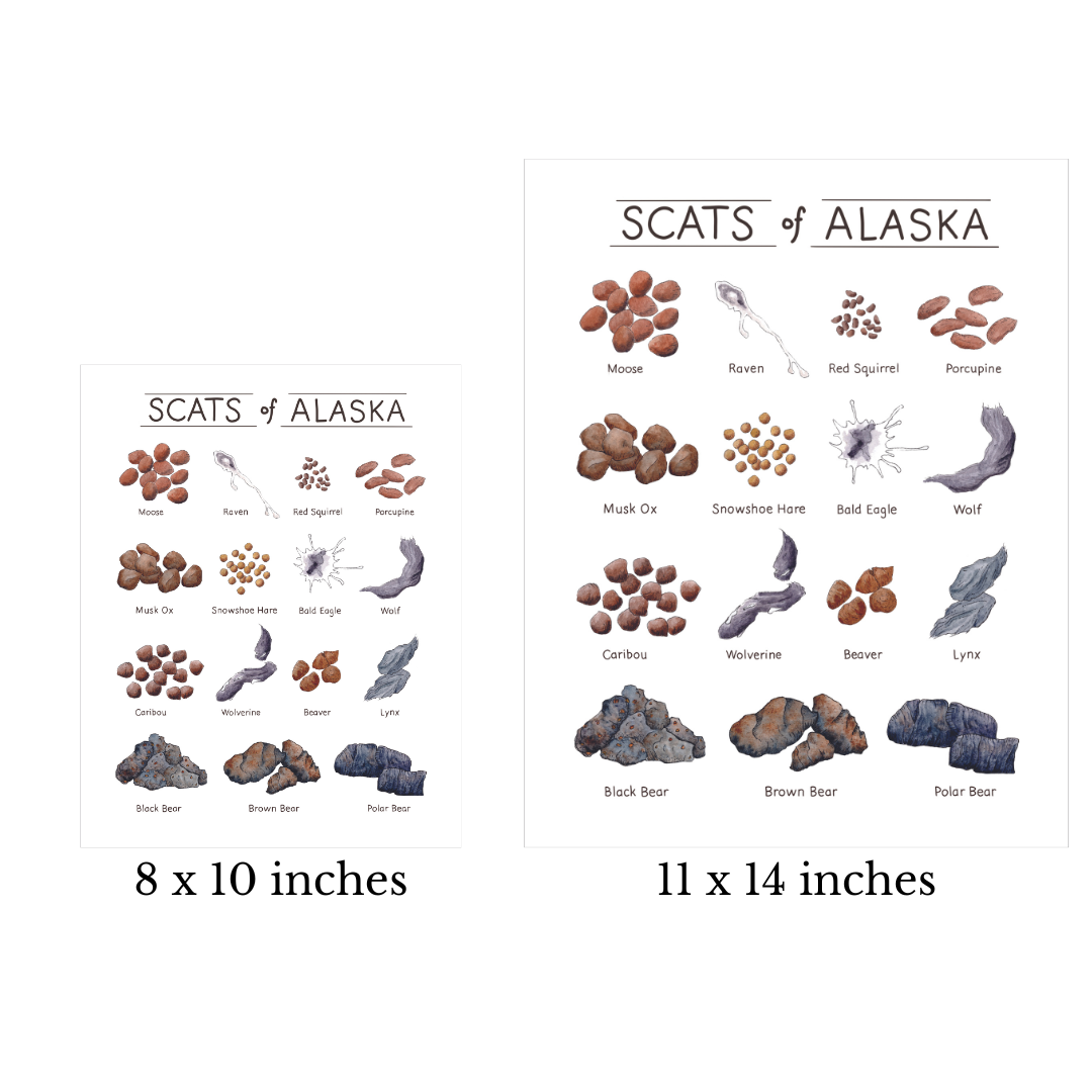 Scats of Alaska Art Print – Tiny Nest Studio