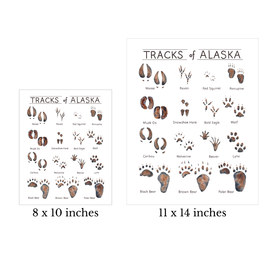 Tracks of Alaska Art Print – Tiny Nest Studio