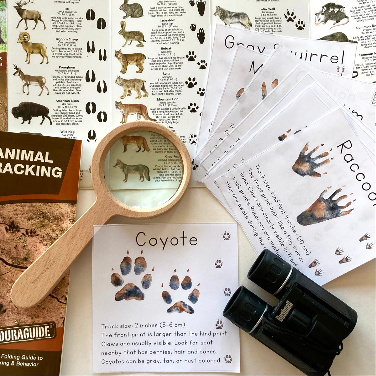 Animal Track Learning Cards: Digital Download – Tiny Nest Studio