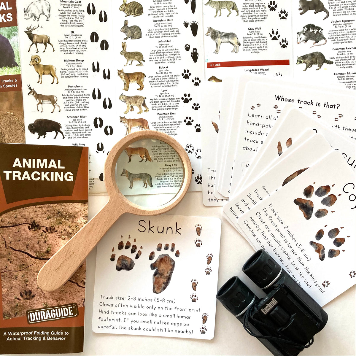 Animal Track Learning Cards – Tiny Nest Studio