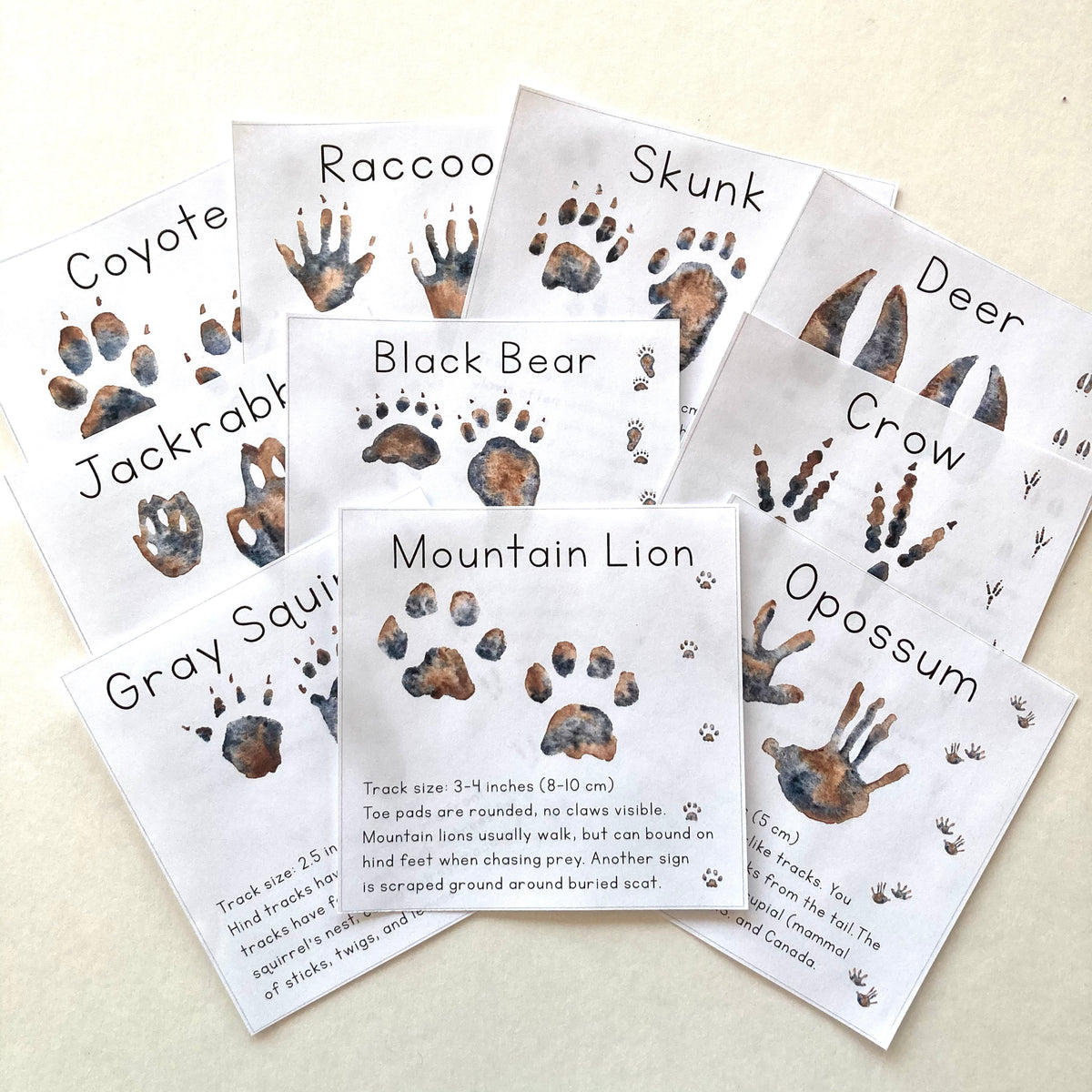 Animal Track Learning Cards: Digital Download – Tiny Nest Studio