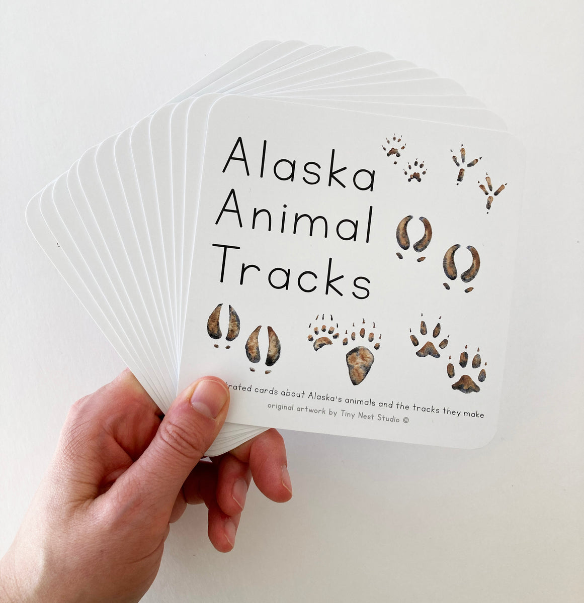 Alaska Animal Tracks Learning Cards – Tiny Nest Studio