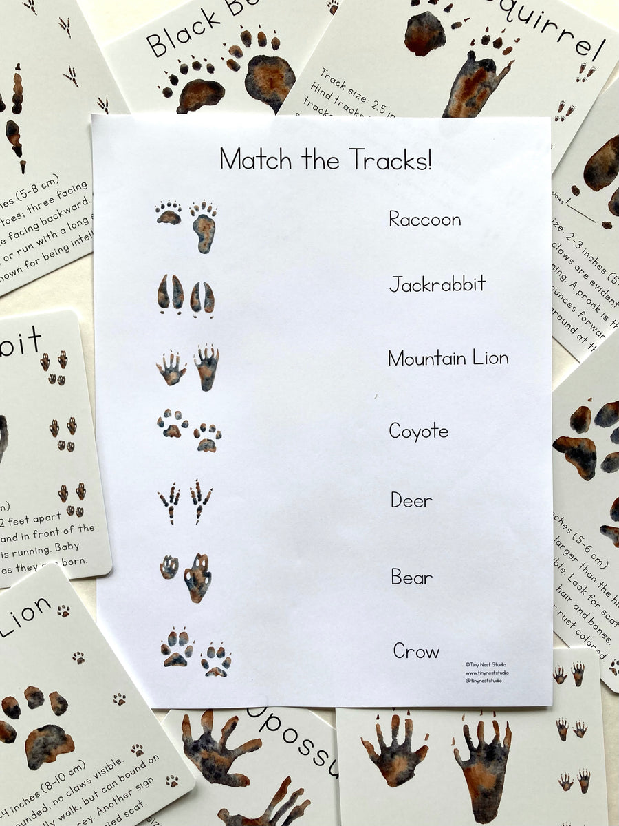 Animal Tracks Matching Game Digital Download – Tiny Nest Studio