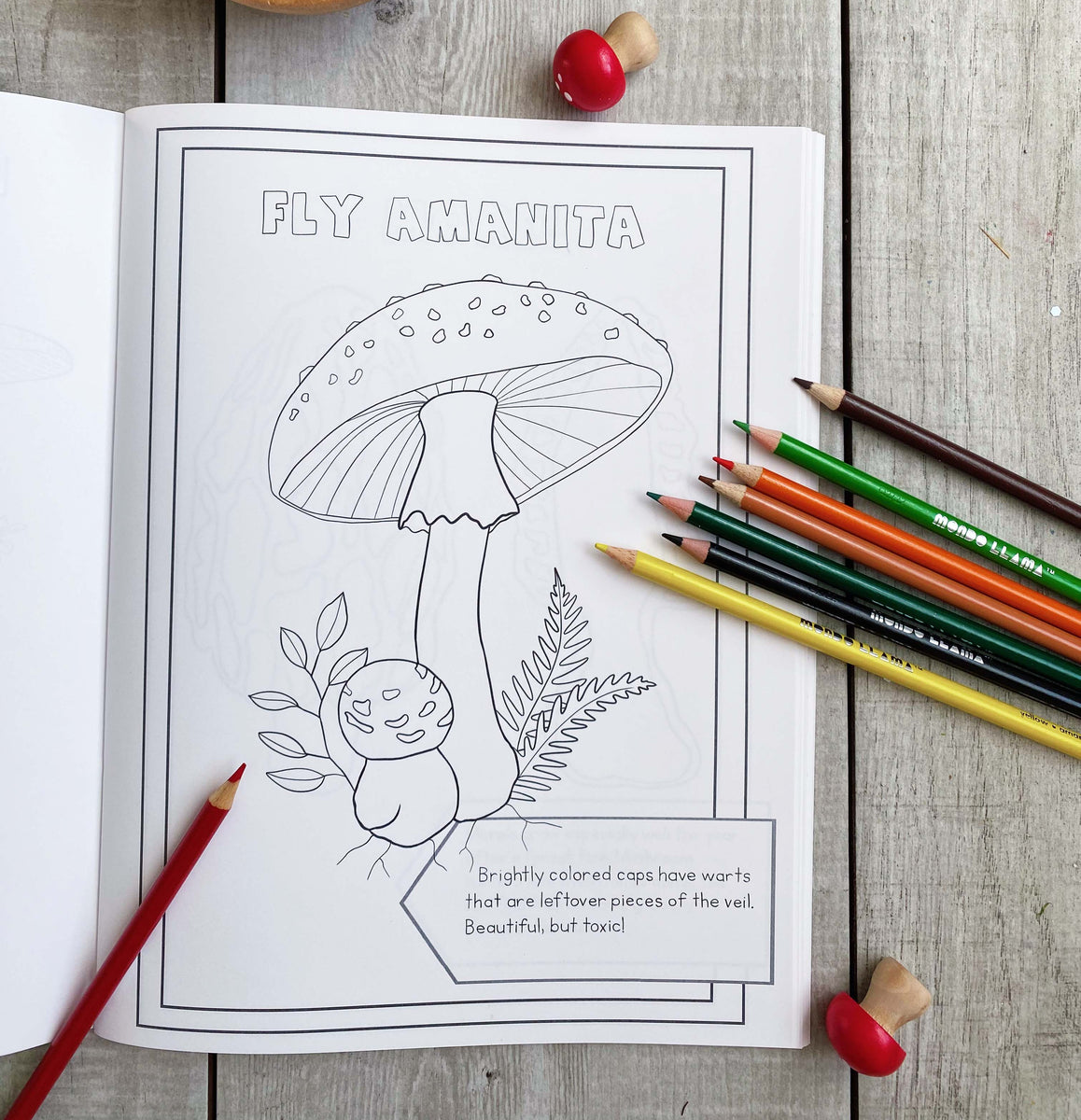 Let's Get Mushy: A Mushroom Coloring and Activity Book – Tiny Nest Studio