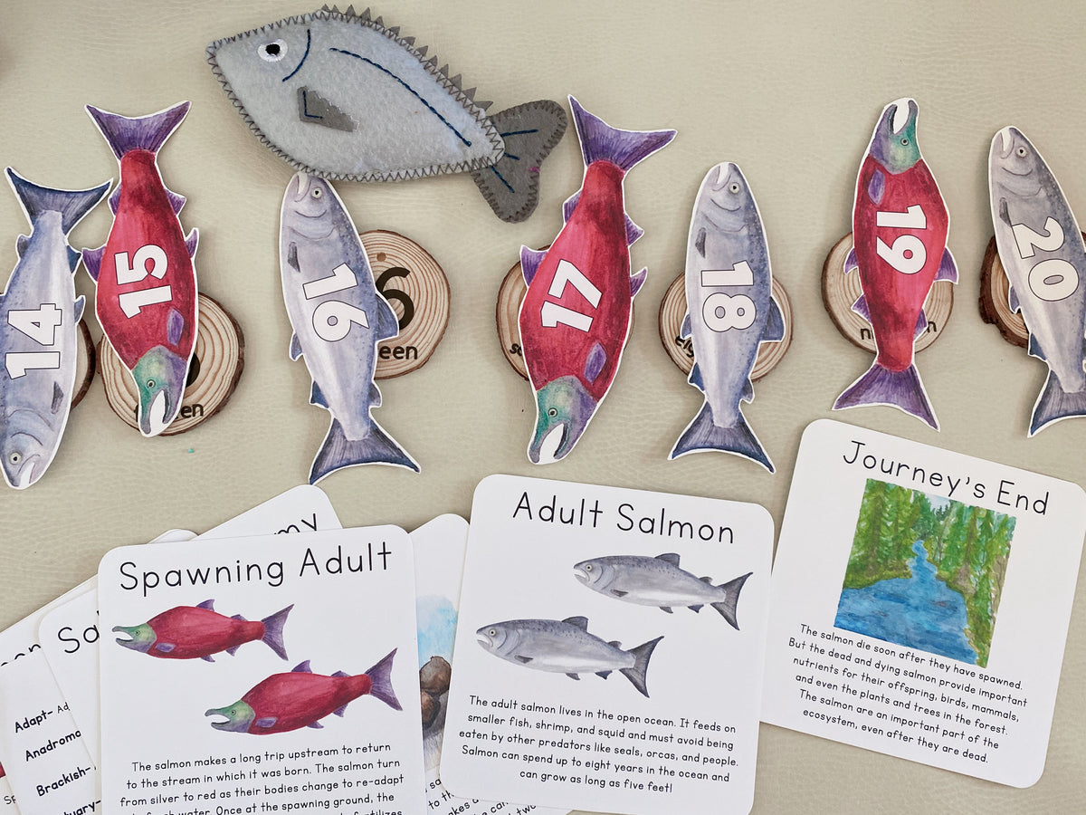 Salmon Life Cycle Digital Learning Unit – Tiny Nest Studio