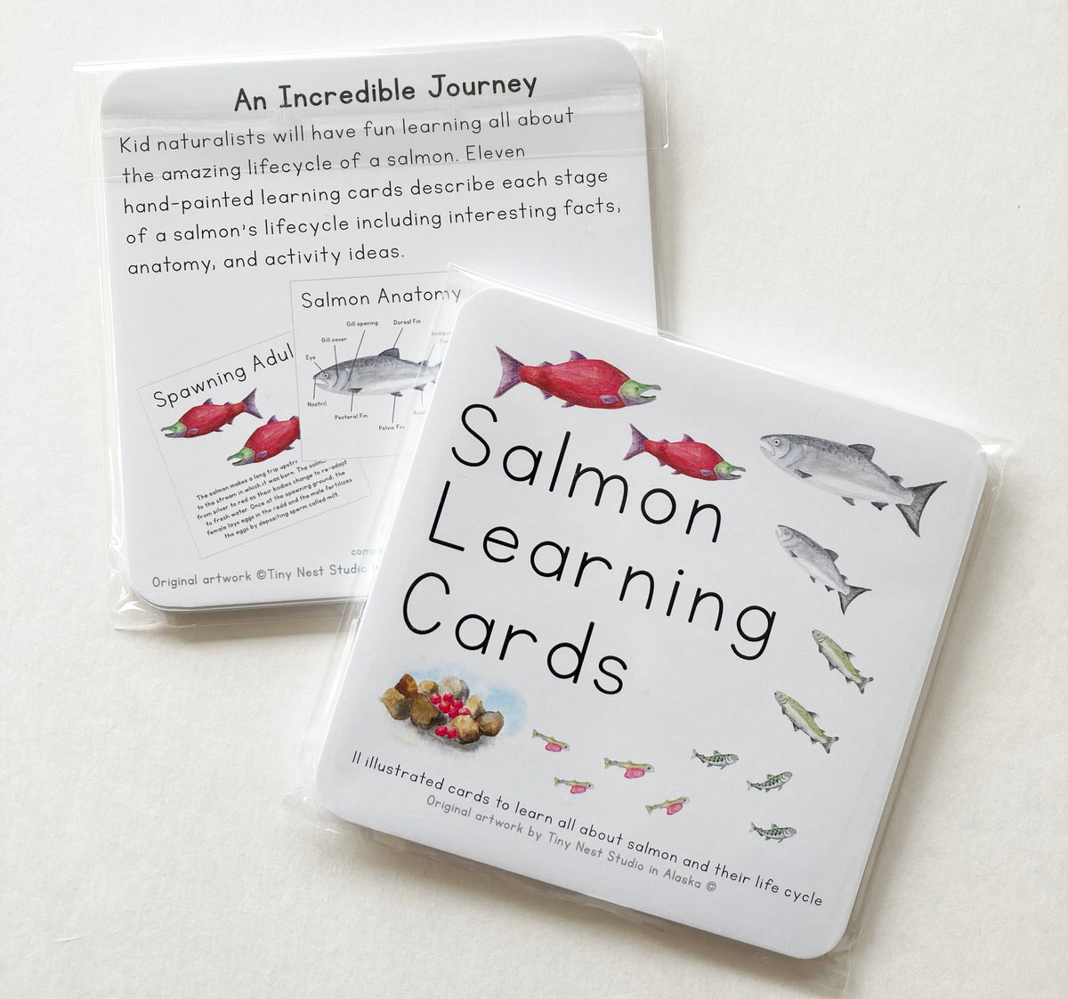 Salmon Life Cycle Learning Cards – Tiny Nest Studio